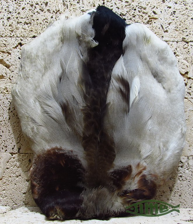 Mallard Duck Complete Skin Large