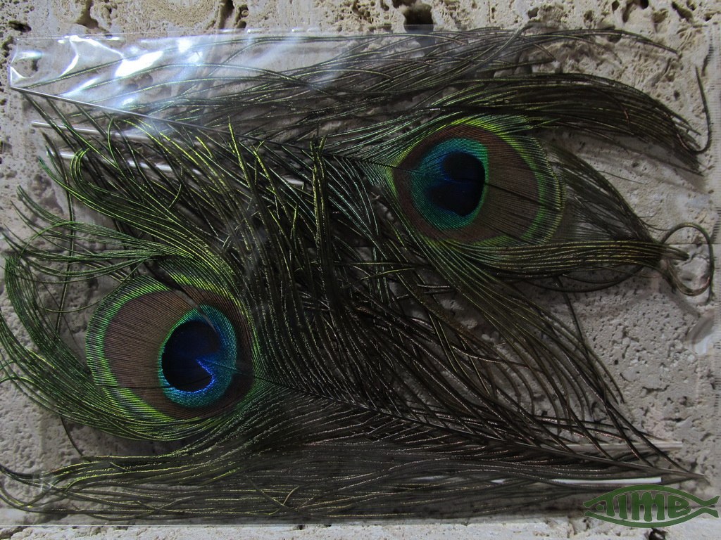 PEACOCK EYE S2