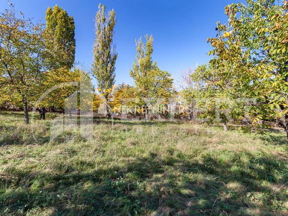 Veliki plac za gradnju - za investitore , Palilula, odlična lokacija 6990 m2,