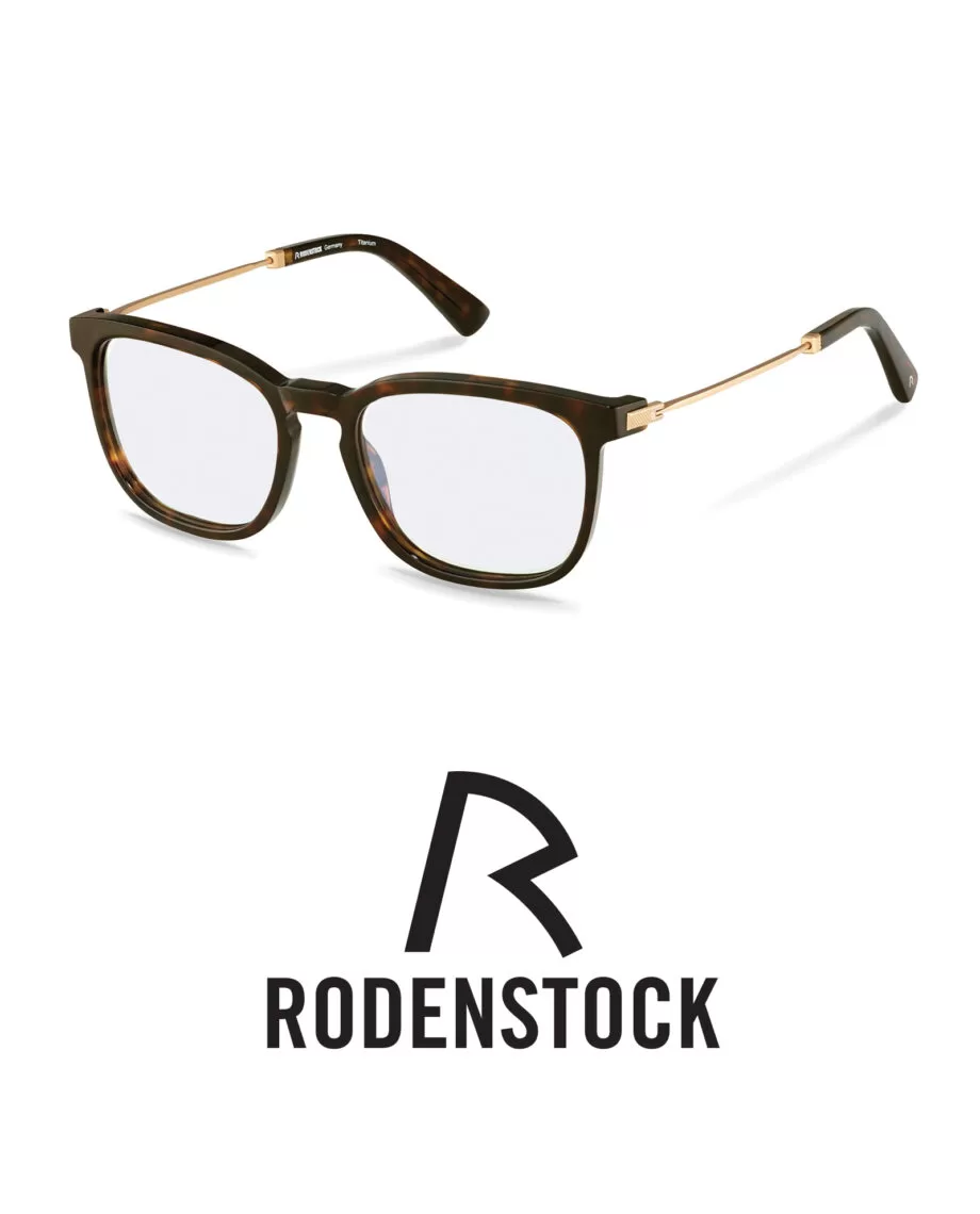 Rodenstock 8029 B Titanium