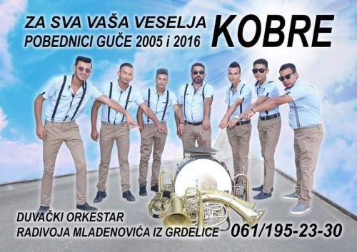 Profesionalni trubači Beograd - Kobre 061/1952-330