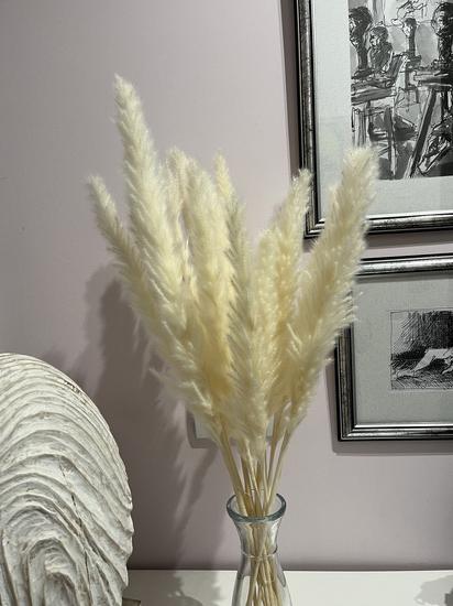 Mini pampas