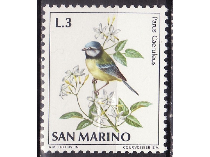 San Marino - ptica