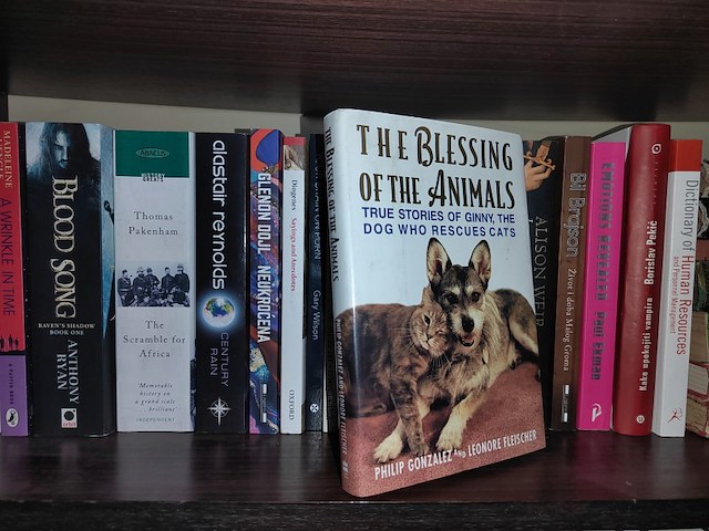 The Blessing of the Animals