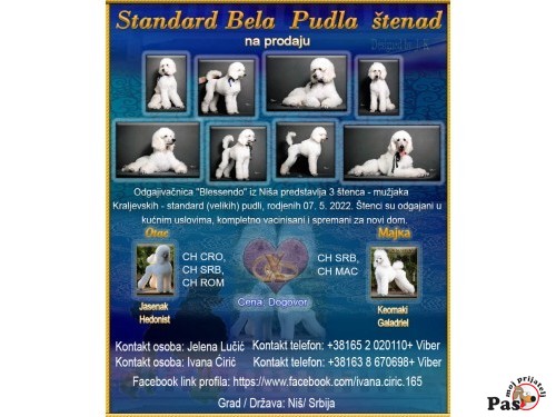 PUDLE