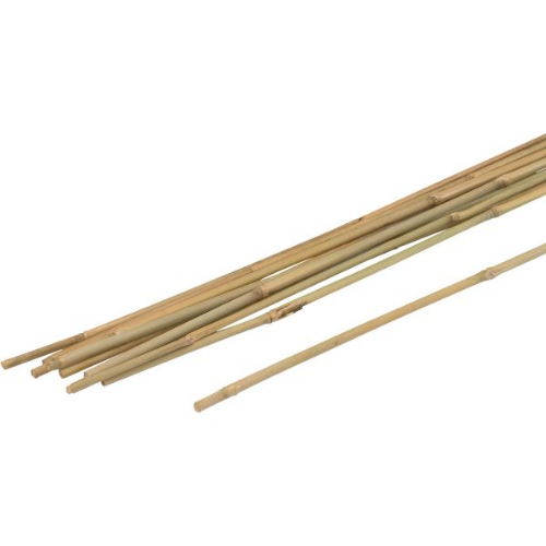 Štap bambusov (1 komad) 2400 mm