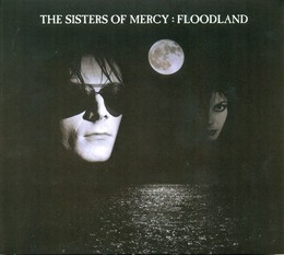 The sisters of mercy