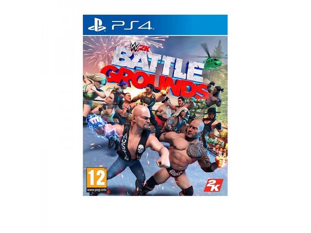 PS4 WWE 2K Battlegrounds