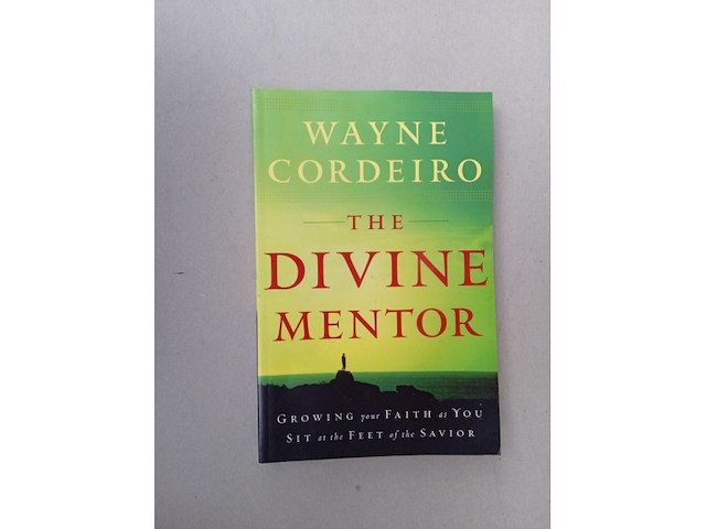 The Divine Mentor - Wayne Cordeiro