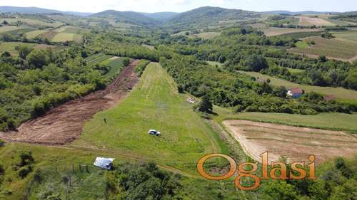 Banoštor 10.000m2 poljoprivredno zemljište HITNO!