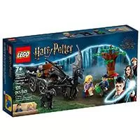 LEGO® Harry Potter Kocke - Hogvorts - Testrali i kočija 76400