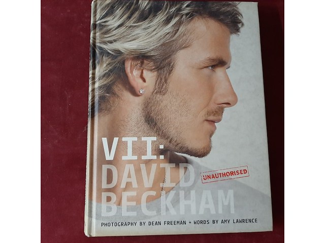 230 VII: David Beckham by Amy Lawrence and Dean Freeman