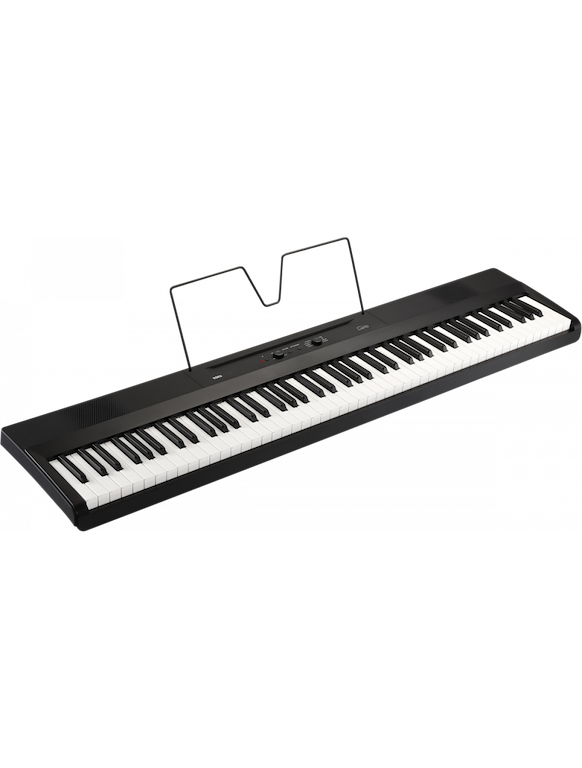 Korg L1 Liano