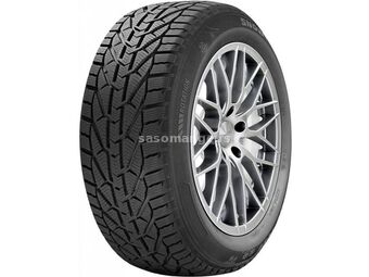 205/55R17 95V Riken Snow