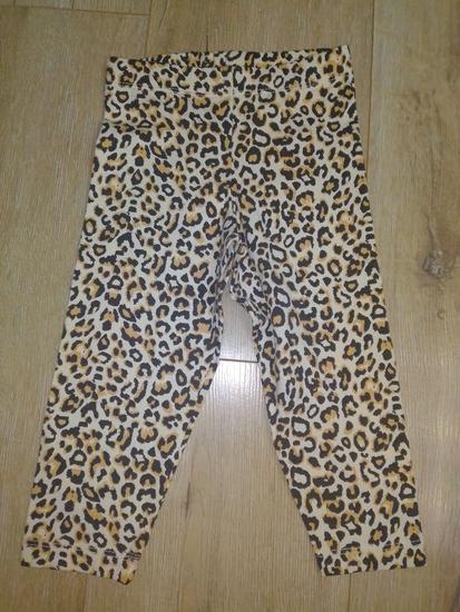 Animal print helanke 80