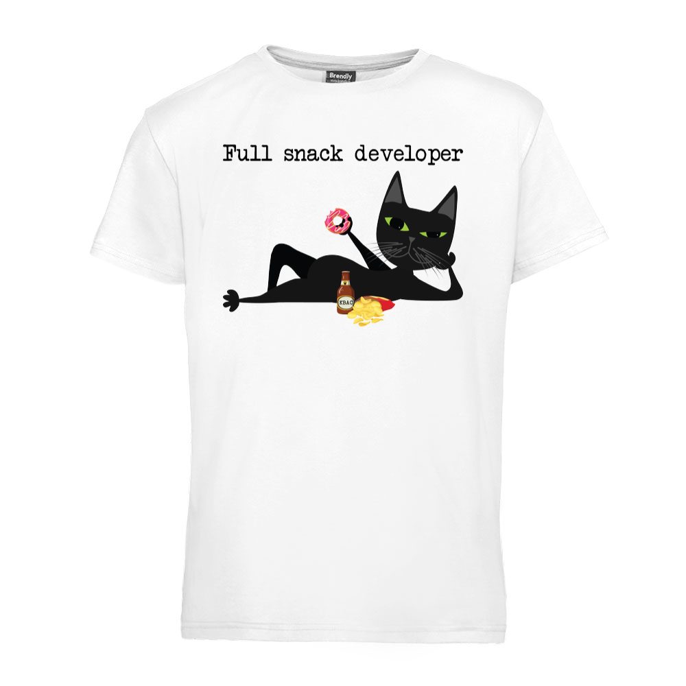 Full snack developer