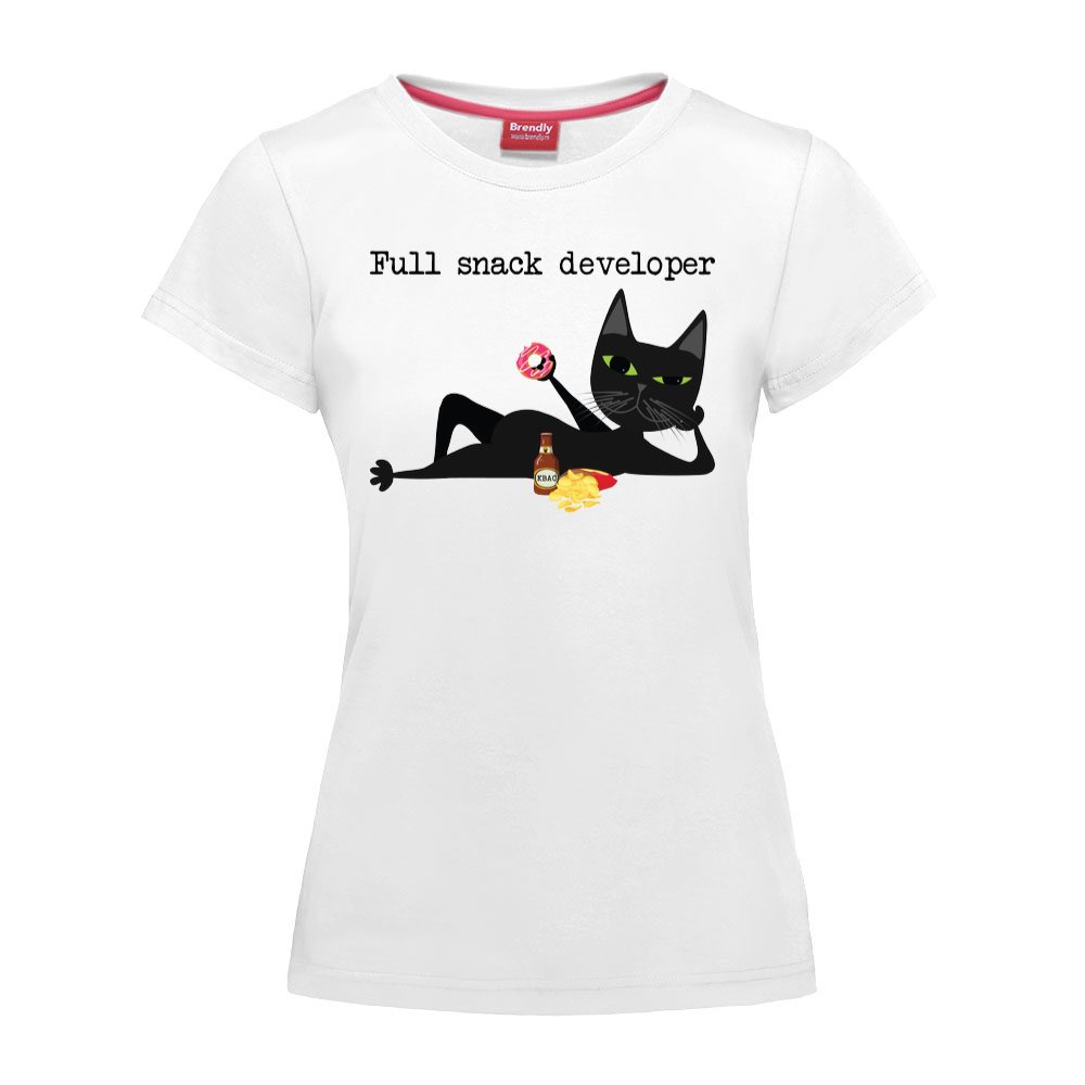Full snack developer
