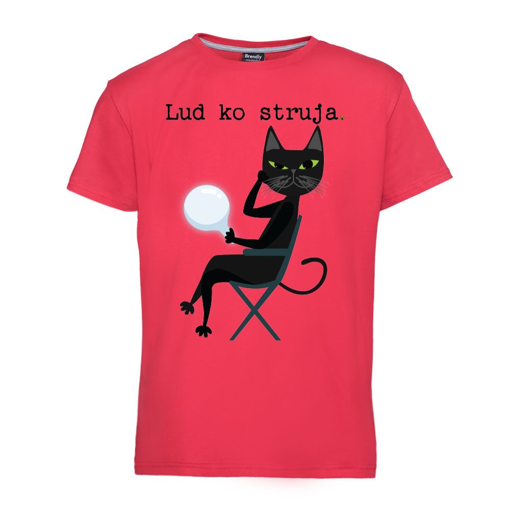 Lud ko struja