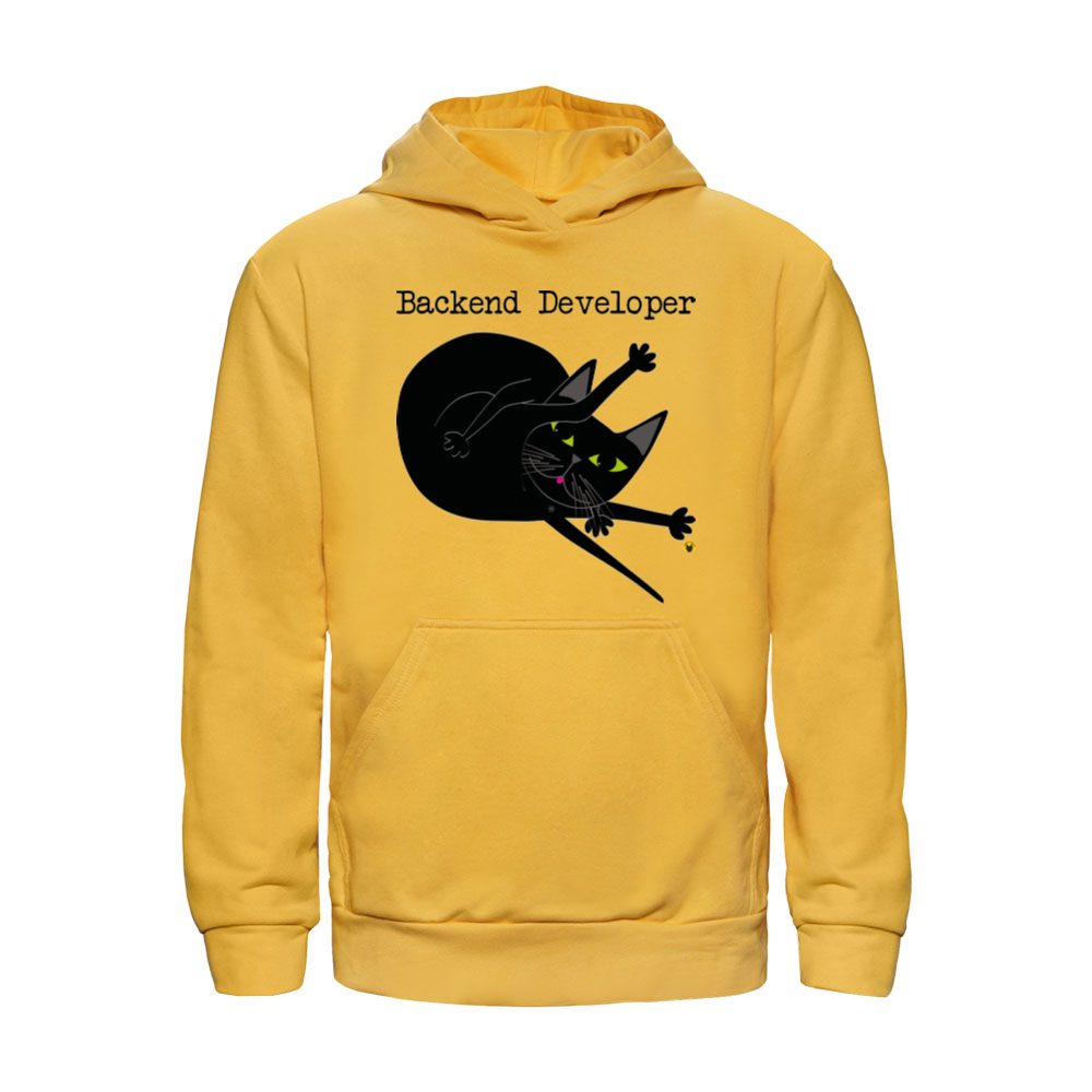 Backend developer
