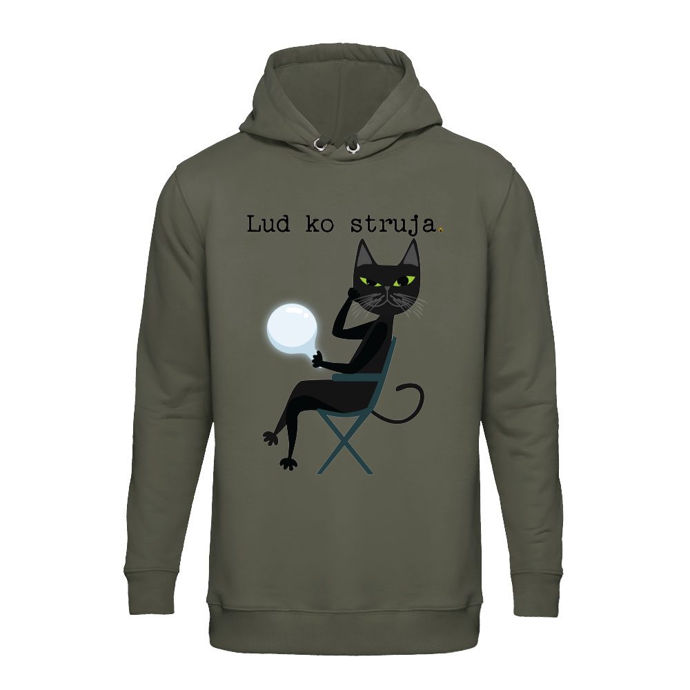 Lud ko struja
