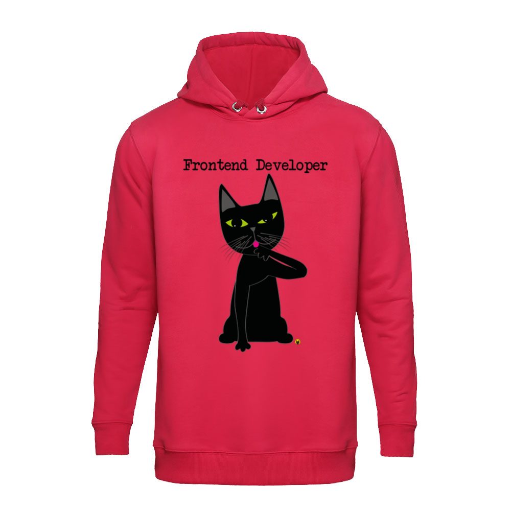 Frontend developer