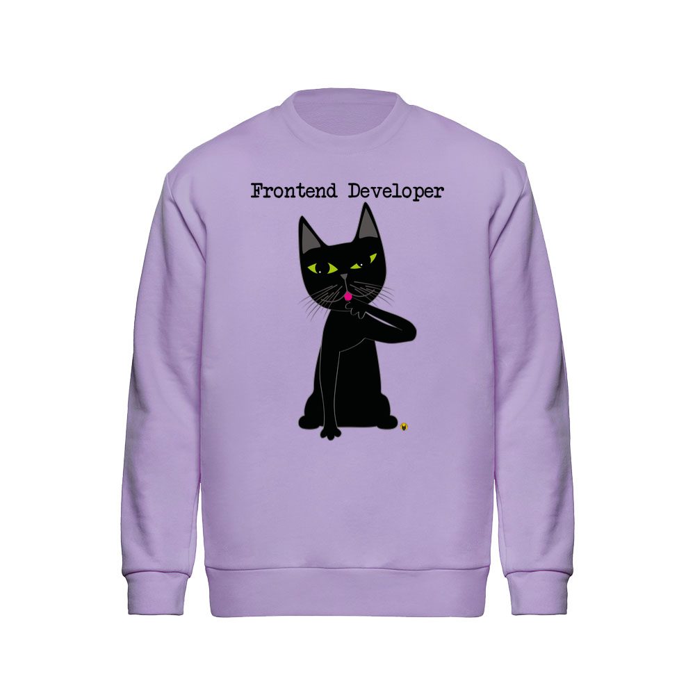 Frontend developer