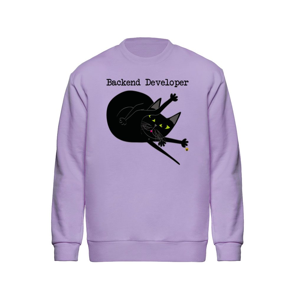 Backend developer