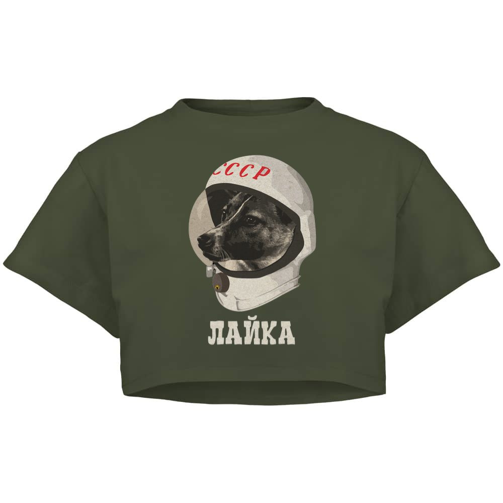 Lajka I