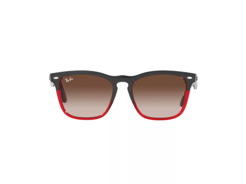 Ray-Ban Steve Naočare za sunce RB 4487 6631/13