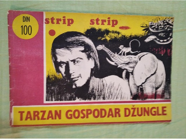 TARZAN GOSPODAR DZUNGLE STRIP STRIP