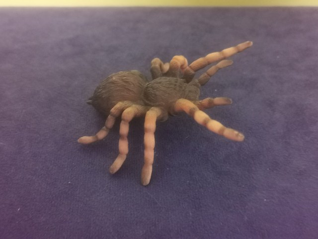 Collecta Tarantula