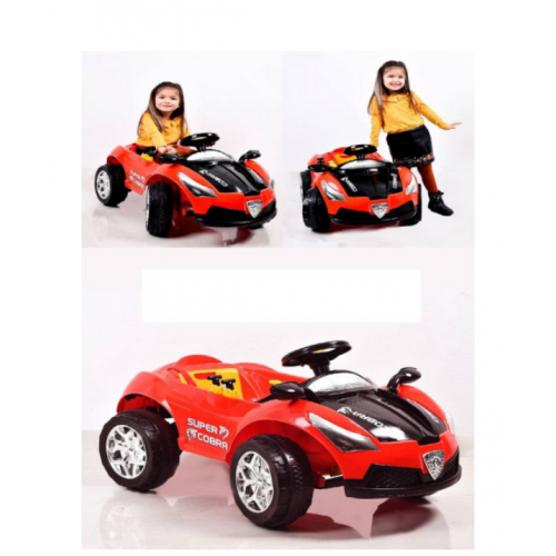 Auto 12V R/C