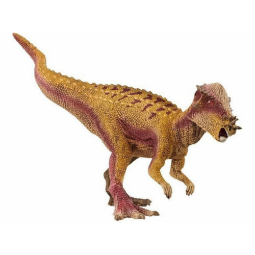 Dinosaurus Pachycephalosaurus