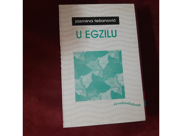 334 U EGZILU - JASMINA TEŠANOVIĆ