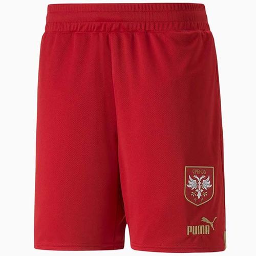 765770-01 Puma Sorc Puma Fss Shorts Replica 765770-01