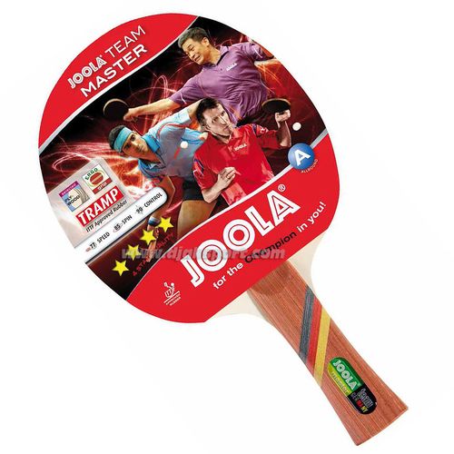 52001 Joola Reket Za Stoni Tenis Tt-Bat German Team Master 52001