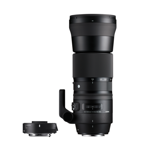 Sigma AF 150-600mm F5-6.3 C (745) + Sigma Teleconverter TC-1401 (879) (Canon)