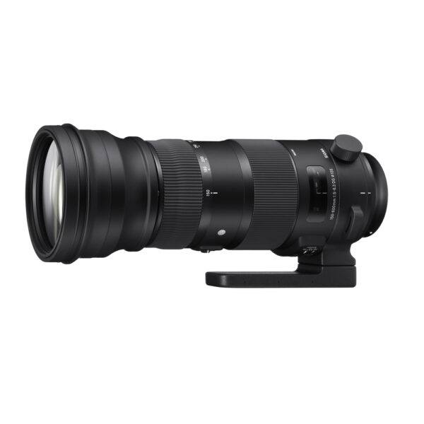 Sigma AF 150-600mm F5-6.3 DG OS HSM (Sport) (Sigma)