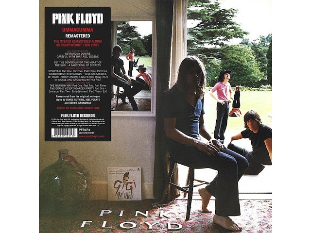 Pink Floyd - Ummagumma (novo)