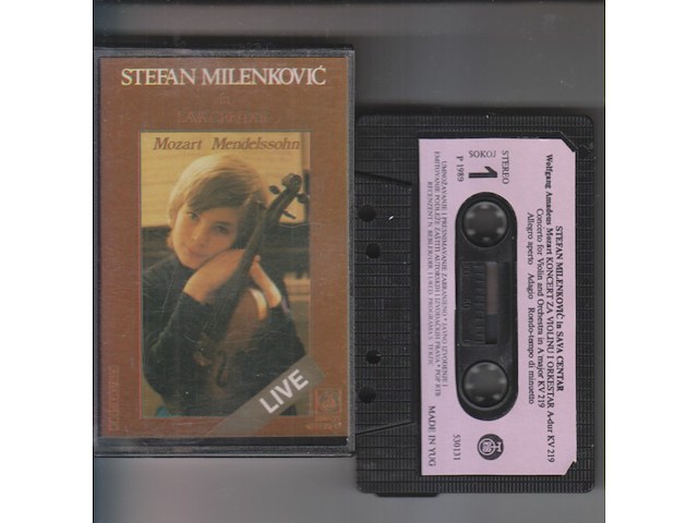 STEFAN MILENKOVIĆ IN SAVA CENTAR / LIVE iz 1986.