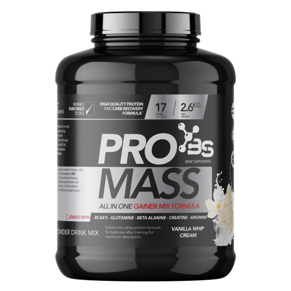 BASIC PRO MASS 2.6KG VANILLA WHIP CREAM