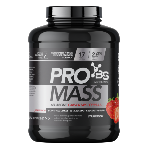 BASIC PRO MASS 2.6KG STRAWBERRY