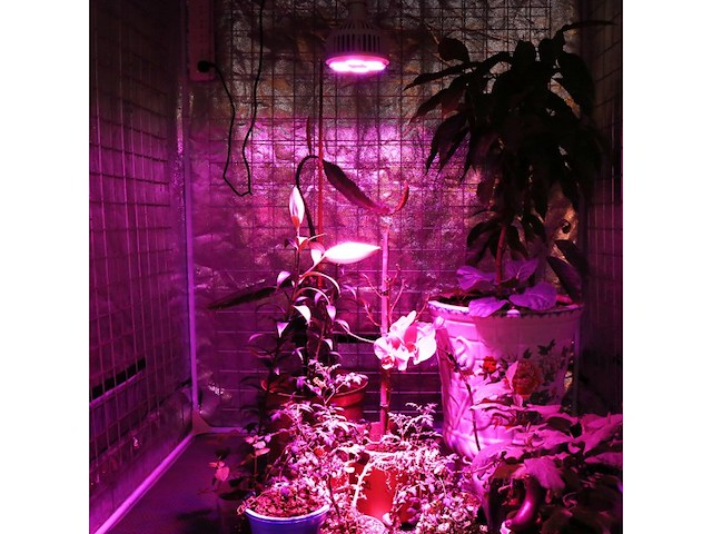 120W / Samsung SMD3030 LED Grow svetlo za rast biljaka