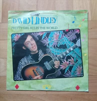 David Lindley-Pretty Girl Rules...(Single) (German