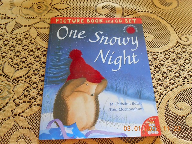 One Snowy Night + CD - A touch and feel book