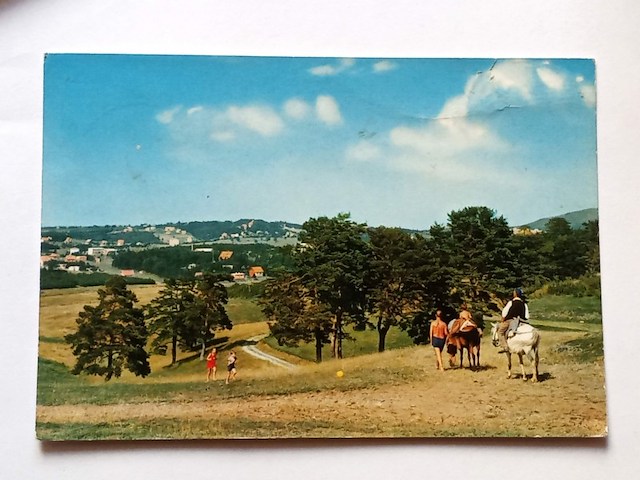 Zlatibor - Životinje Konji - Dete na Konju - Putovala