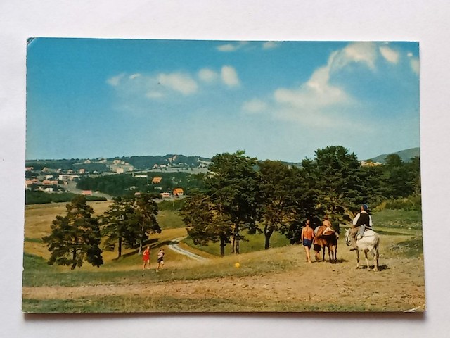 Zlatibor - Životinje Konji - Dete na Konju - 1971.g -