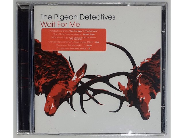 The Pigeon Detectives – Wait For Me