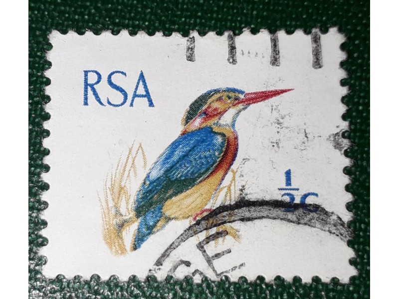 RSA fauna