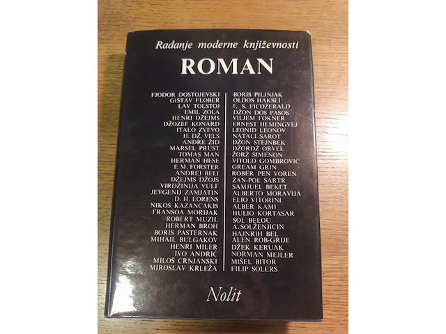 Rađanje moderne književnosti- Roman